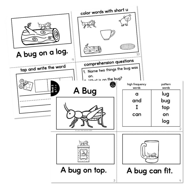Lucky Little Readers - Fiction - Book Five - CVC Short U - A Bug ...