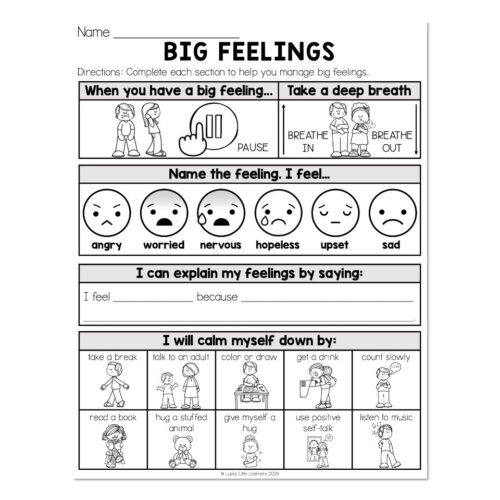 Self-Regulation - Big Feelings - Lucky Little Learners