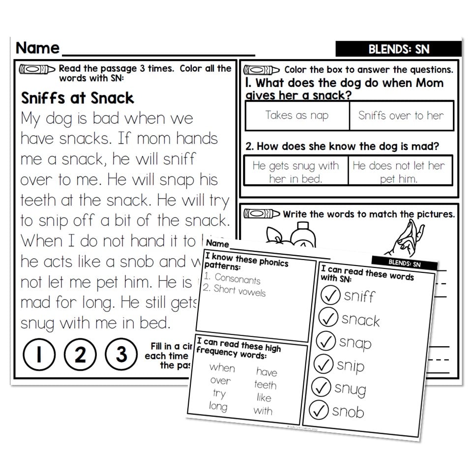 1st Grade Decodable Phonics Passage - Beginning Blends - SN - Lucky ...