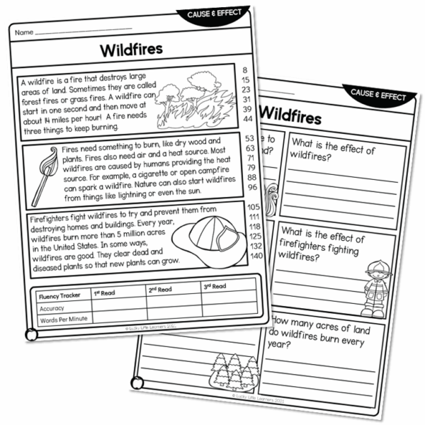 2nd Grade Nonfiction Cause and Effect Reading Passage - Wildfires ...
