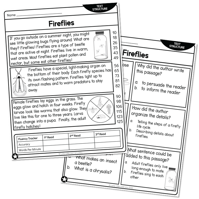 2nd Grade Nonfiction Text Structures Reading Passage - Fireflies ...