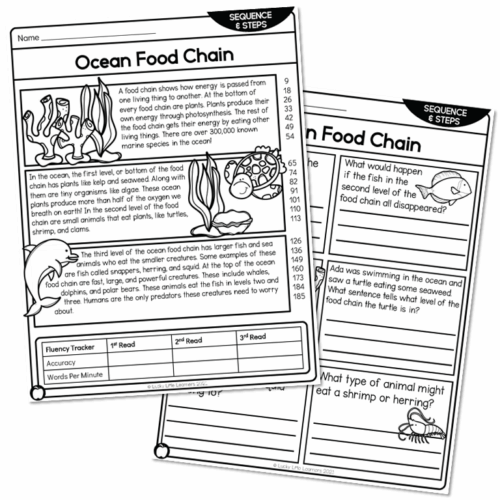 Ocean Food Web Worksheet