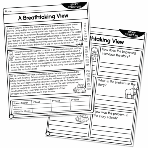 2nd Grade Story Structure Reading Passage - A Breathtaking View - Above ...