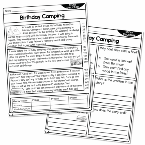 2nd Grade Story Structure Reading Passage - Birthday Camping - At ...