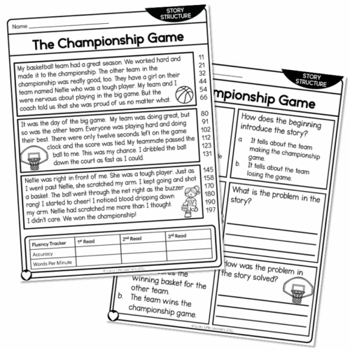 2nd Grade Story Structure Reading Passage - The Championship Game - At ...