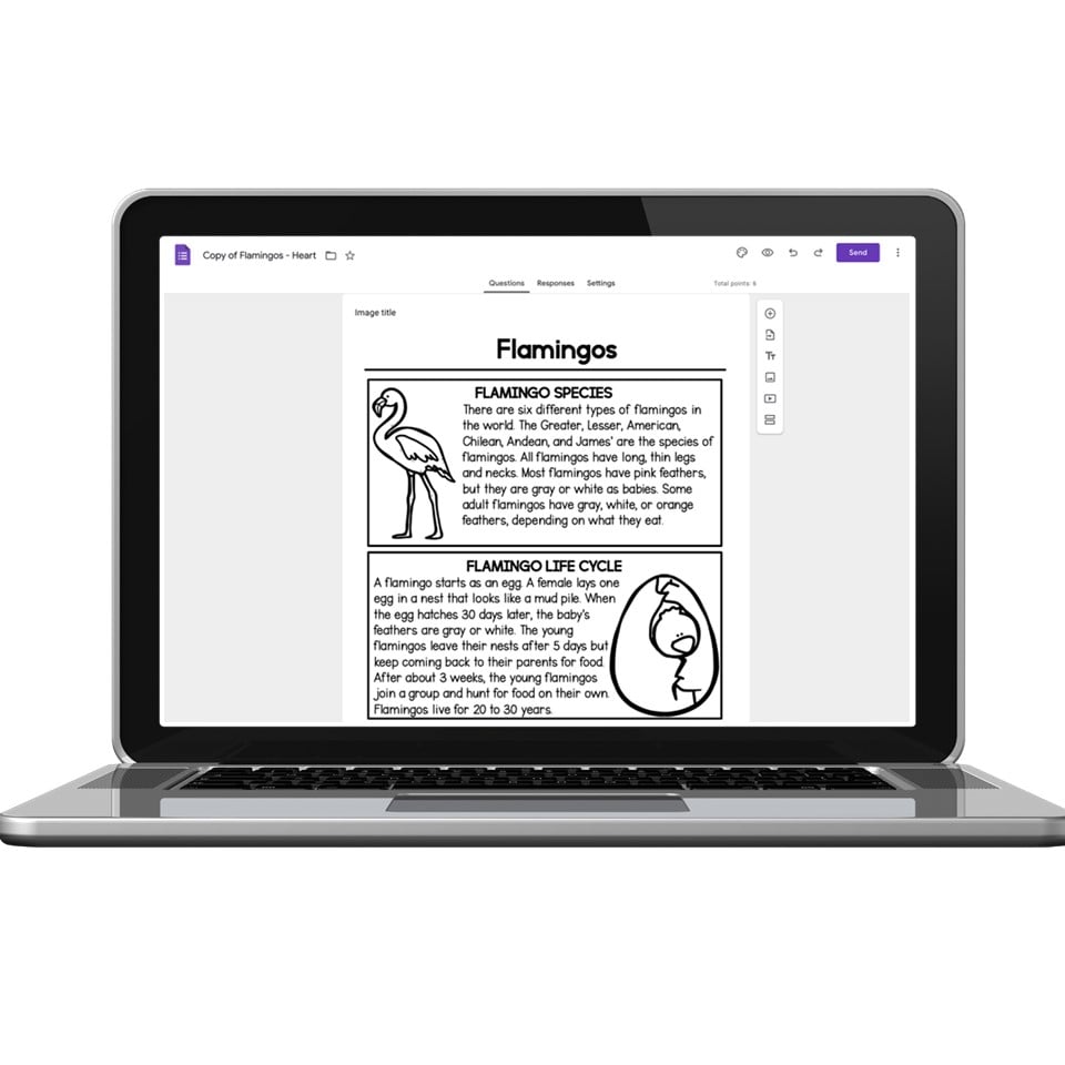 Digital 2nd Grade Reading Passages - Nonfiction Compare and Contrast ...