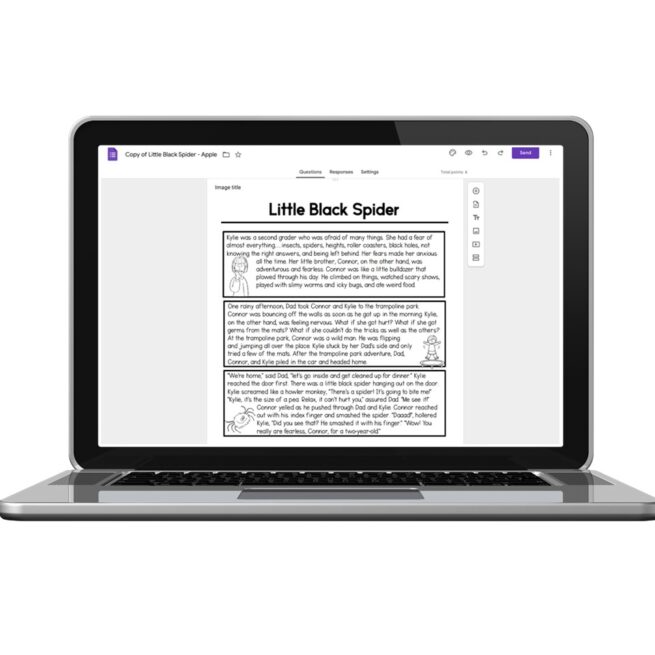 Digital 2nd Grade Reading Passage - Story Structure - Little Black ...