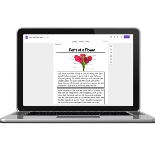 Digital 2nd Grade Reading Passages - Text Features - Parts of a Flower ...