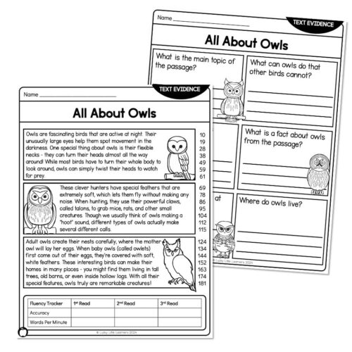 Reading Comprehension Passage - Nonfiction Text Evidence - All About ...