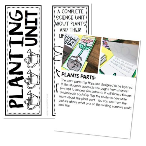 Plant Life Cycle Spring Craft - Planting Unit Lapbook - Lucky Little ...
