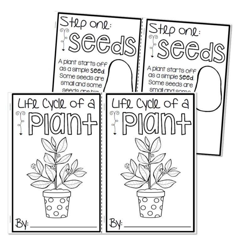 Plants Unit - Mini Booklet - Life Cycle of a Plant - Lucky Little Learners
