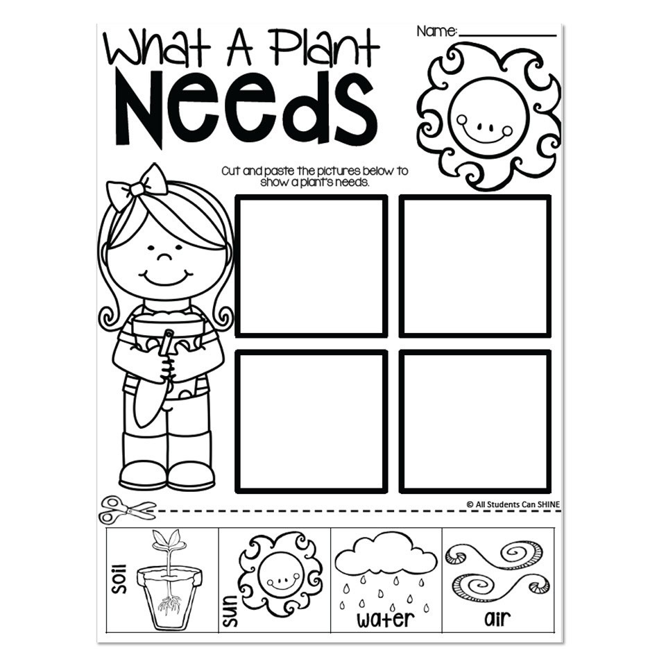 Plants Unit - What a Plant Needs - Lucky Little Learners