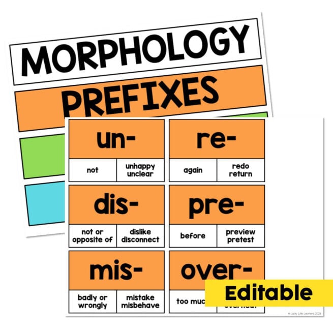 Editable Morphology Wall Display and Cards - Lucky Little Learners