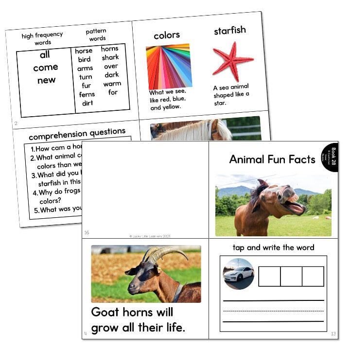 Lucky Little Readers - Decodable - Book Twenty-Eight - R-Controlled ...