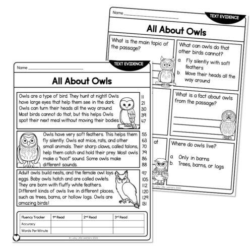 Reading Comprehension Passage - Nonfiction Text Evidence - All About ...