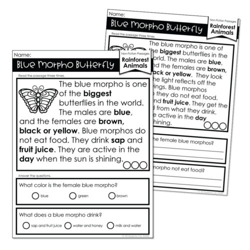Non-Fiction Reading Passages - Rainforest Animals - Blue Morpho ...