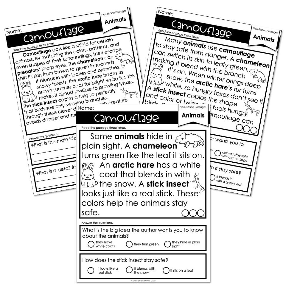 Differentiated 1st Grade Passages - Main Idea and Details - Camouflage ...