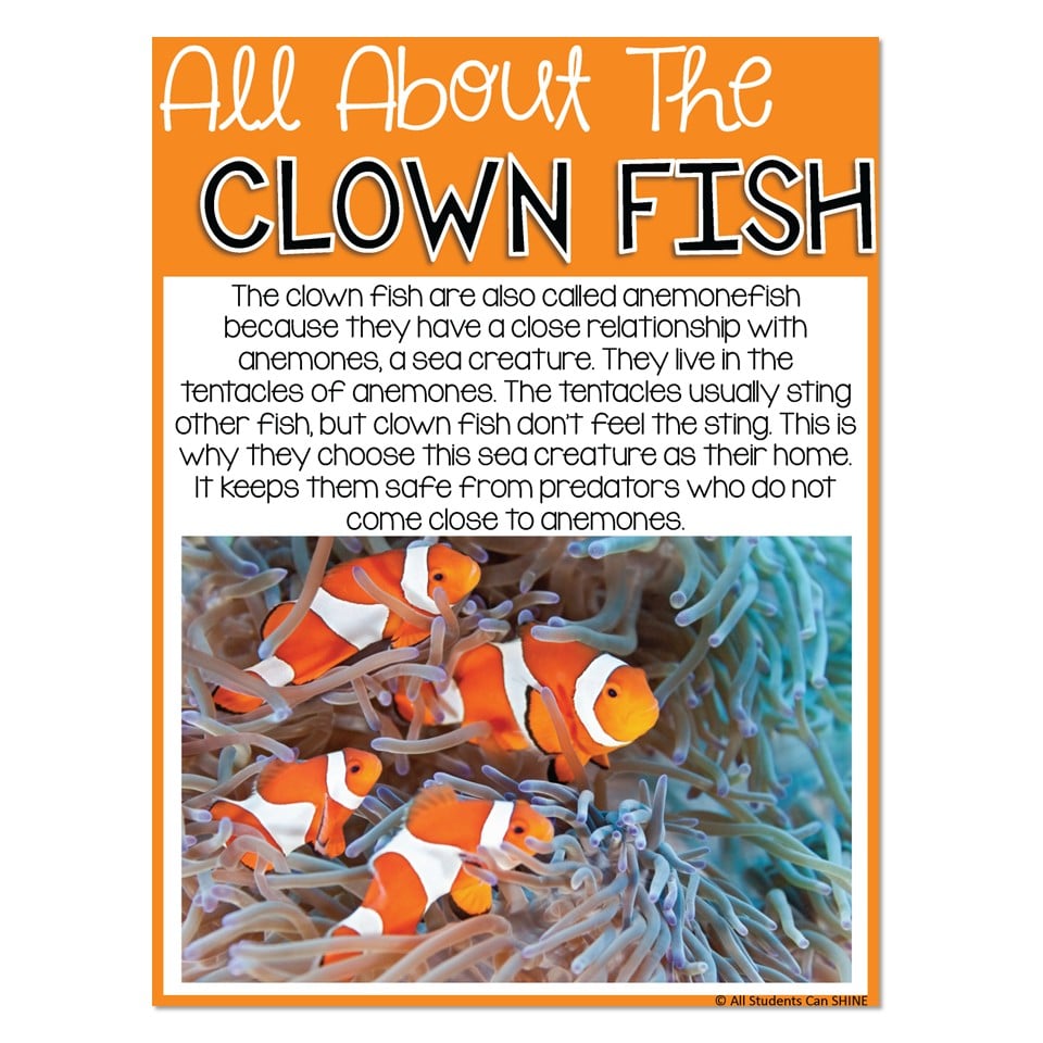 Ocean Animals Unit - Clown Fish Book - Lucky Little Learners