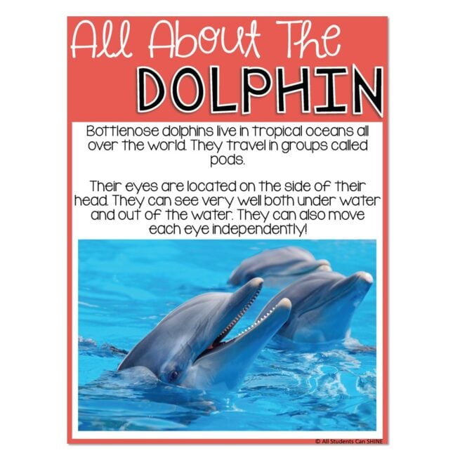 Ocean Animals Unit - Dolphin Book - Lucky Little Learners