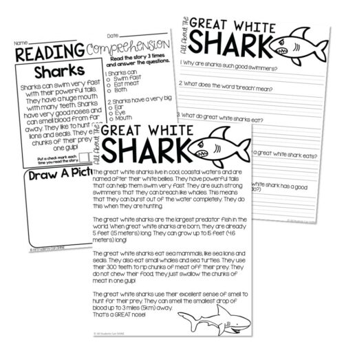 Ocean Animals Unit - Reading Comprehension Pages - Great White Shark ...