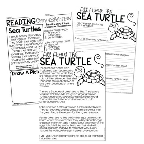 Ocean Animals Unit - Reading Comprehension Pages - Sea Turtle - Lucky ...