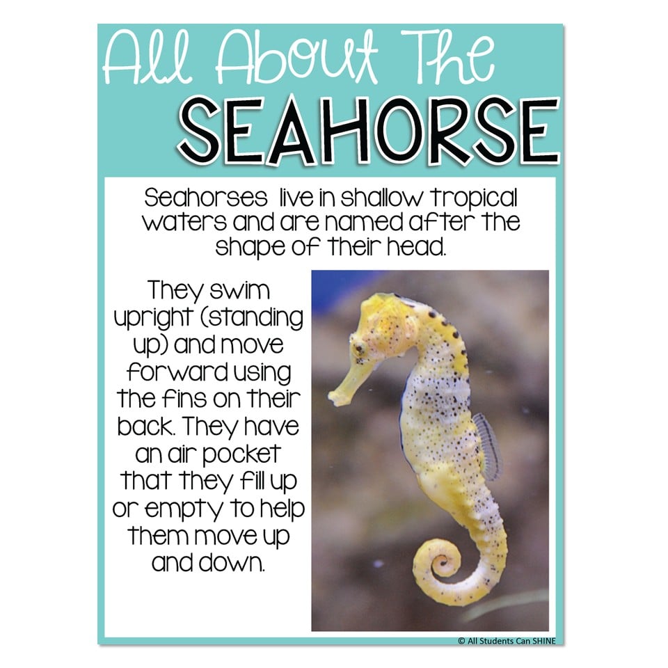 Ocean Animals Unit - Seahorse Book - Lucky Little Learners