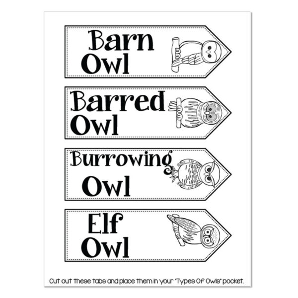 Owls Unit - Interactive Notebook Pages - Lucky Little Learners