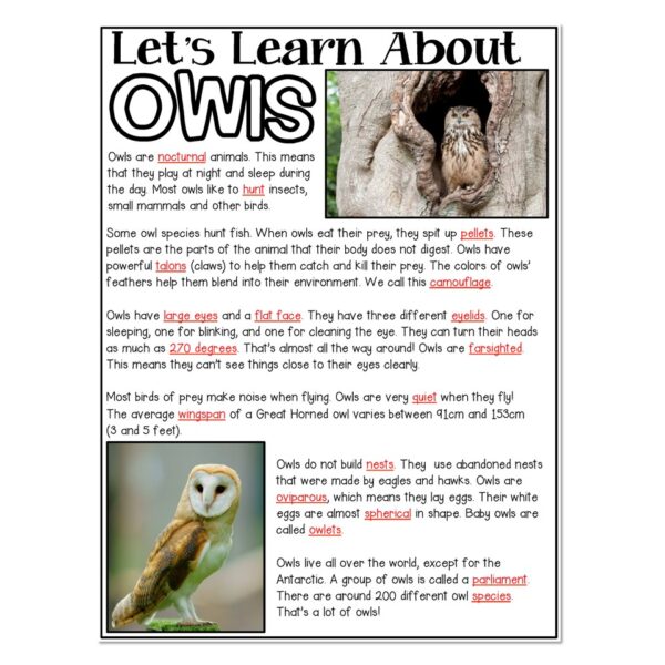 Owls Unit - Learn About Owls - Lucky Little Learners