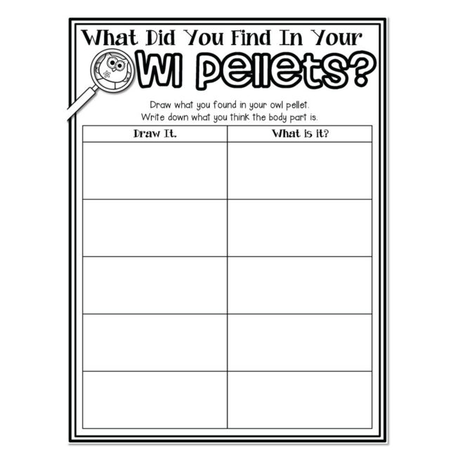 Owls Unit - Owl Pellets - Lucky Little Learners