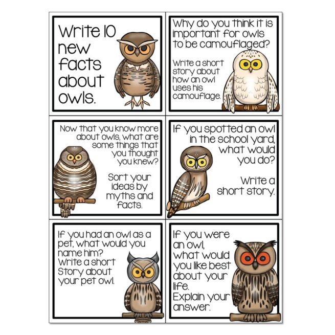 Owls Unit - Owl Task Cards - Lucky Little Learners