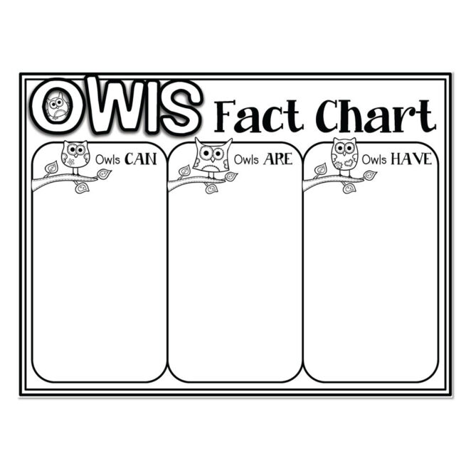 Owls Unit - Owls Fact Chart - Lucky Little Learners