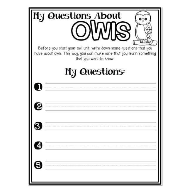 Owls Unit - Questions About Owls - Lucky Little Learners