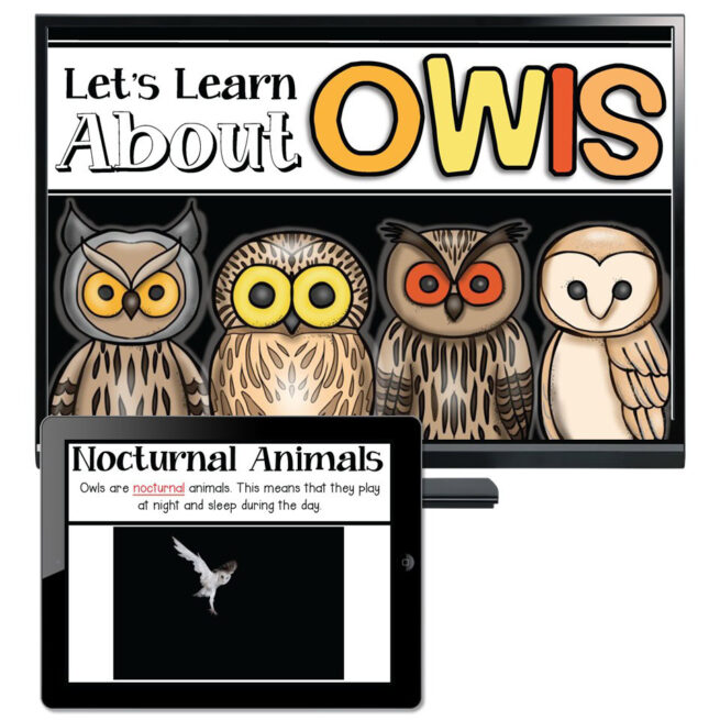 Owls Unit - Slides and Facts - Lucky Little Learners