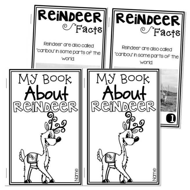 Reindeer Unit - My Book About Reindeer - Lucky Little Learners