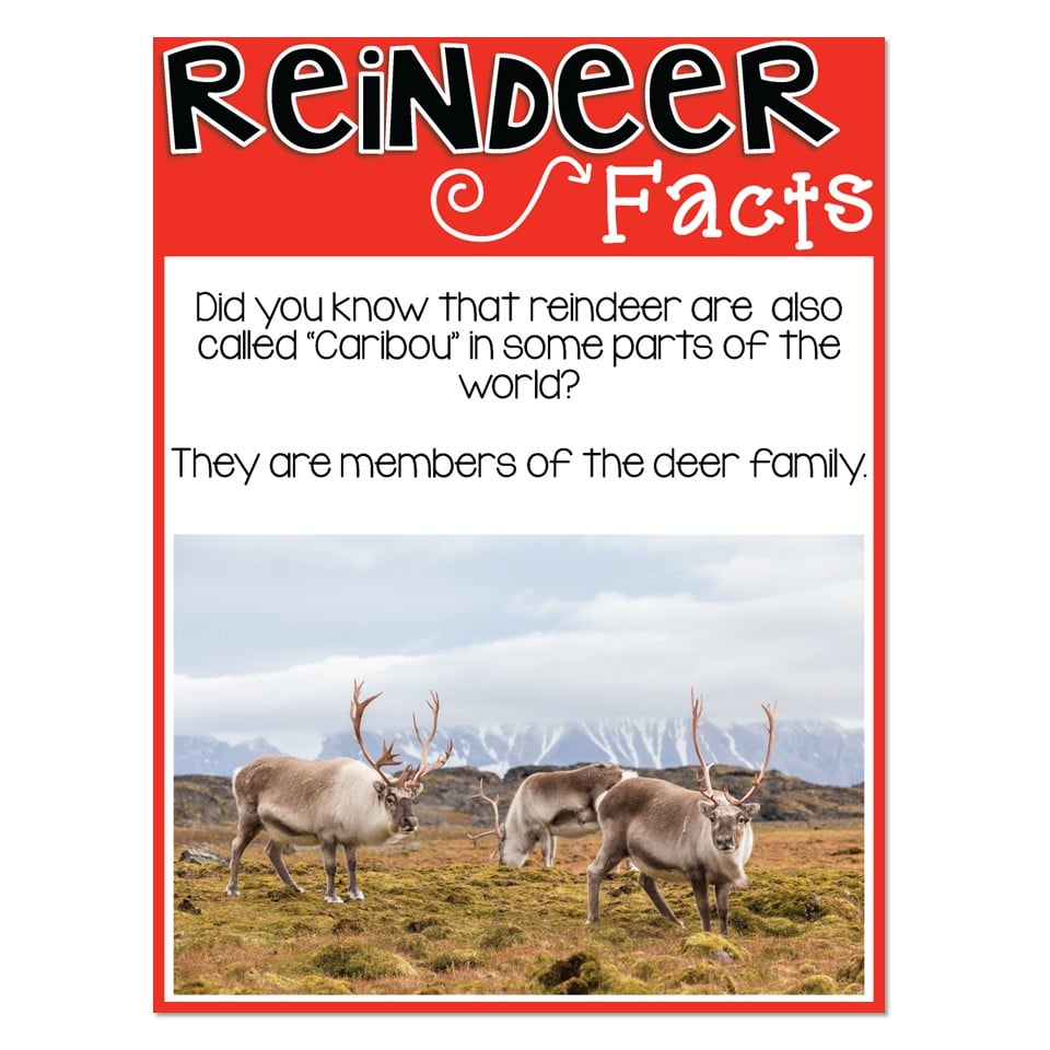 Reindeer Unit - Reindeer Facts Read Aloud - Lucky Little Learners