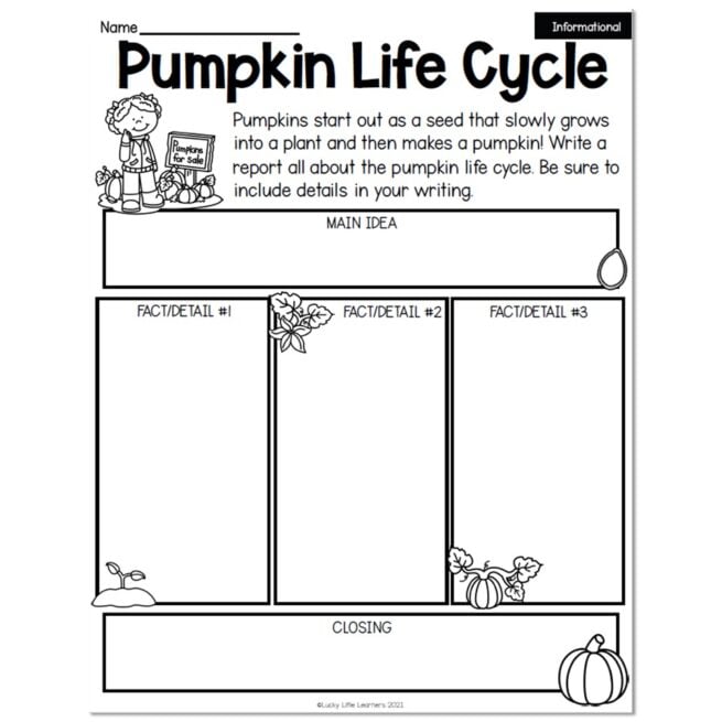 1st Grade November Writing Pages - Informational - Pumpkin Life Cycle ...