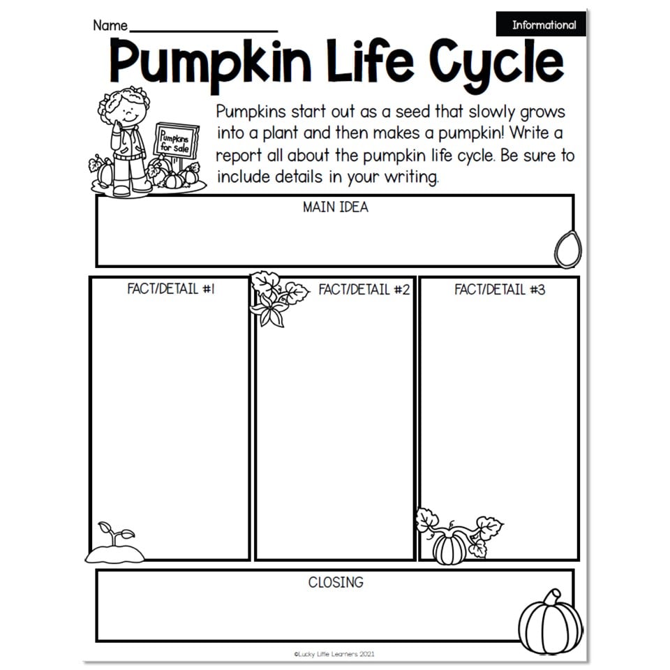 1st Grade November Writing Pages - Informational - Pumpkin Life Cycle ...
