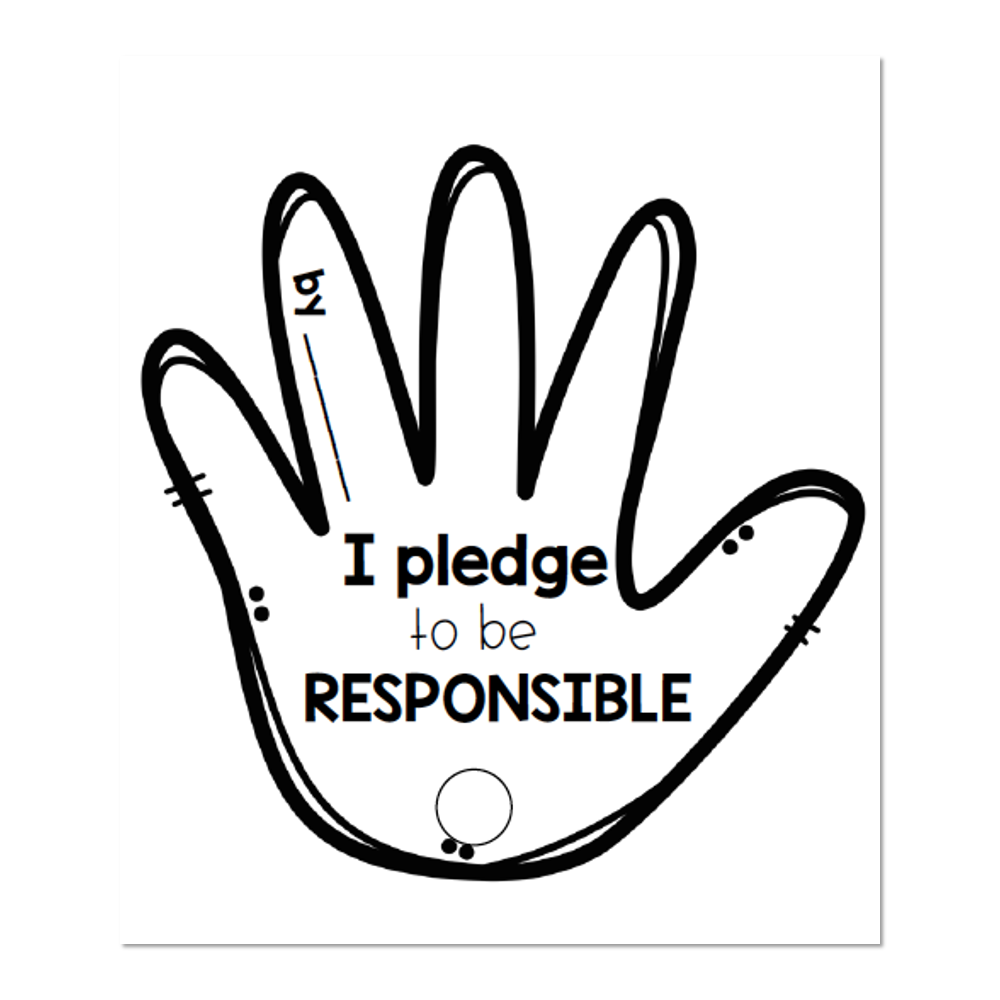 1st and 2nd Grade - Social Emotional Learning - Responsibility Unit ...
