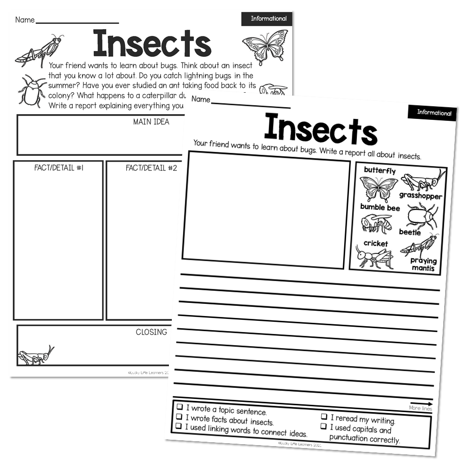 2nd Grade May Writing Pages - Informational - Insects - Lucky Little ...