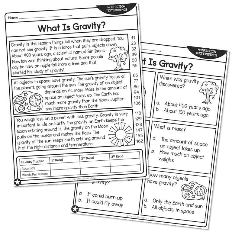 2nd Grade Nonfiction Text Evidence and 5 W's Reading Passage - What is ...
