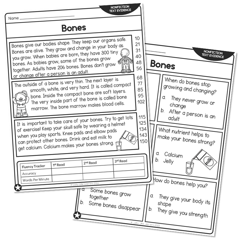 2nd Grade Nonfiction Text Evidence and 5 W's Reading Passage - Bones ...