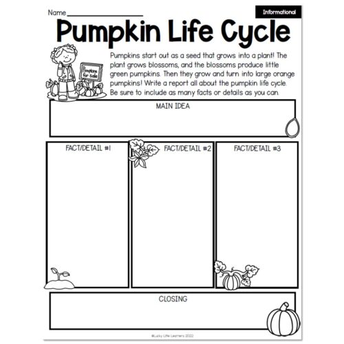 2nd Grade November Writing Pages - Informational - Pumpkin Life Cycle ...