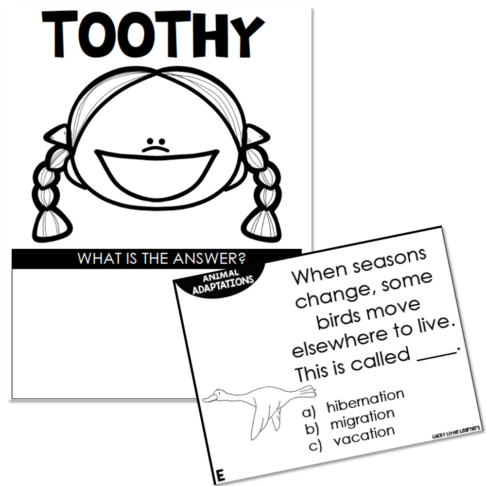 Toothy - Science - 2nd Grade - Animal Adaptations - Lucky Little Learners