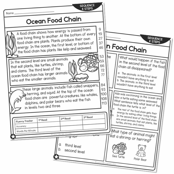 2nd Grade Sequencing Nonfiction Reading Passage - Ocean Food Chain ...