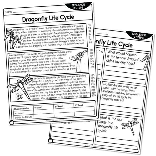 2nd Grade Sequencing Nonfiction Reading Passage - Dragonfly Life Cycle ...