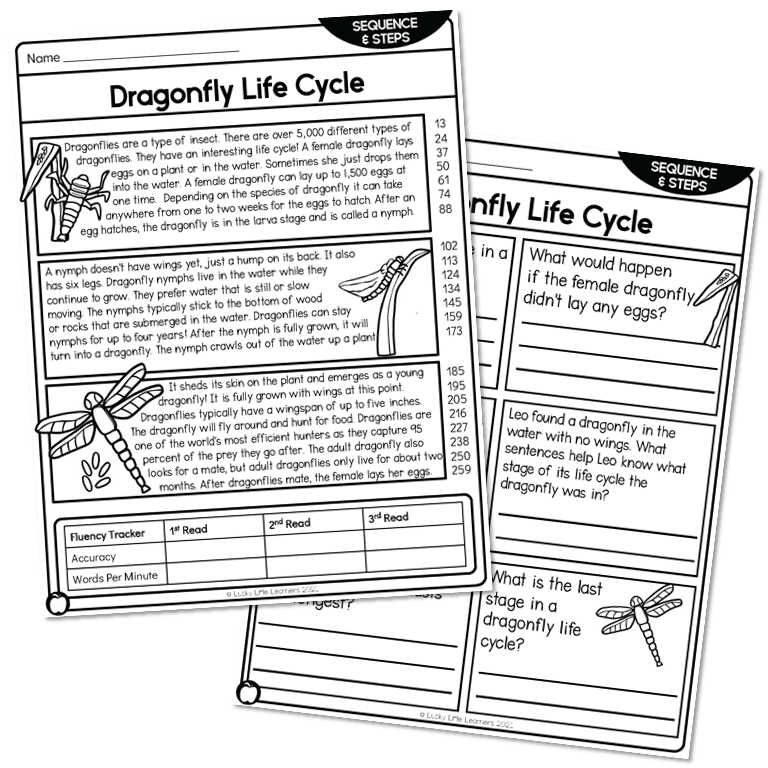 2nd Grade Reading Comprehension Passages Pdf English Comprehension