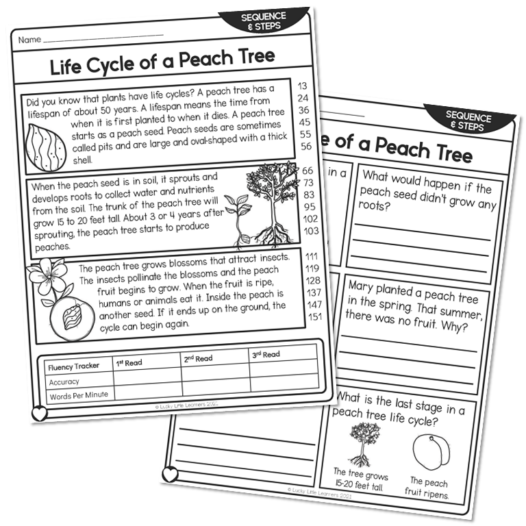 2nd Grade Sequencing Nonfiction Reading Passage - Life Cycle of a Peach ...