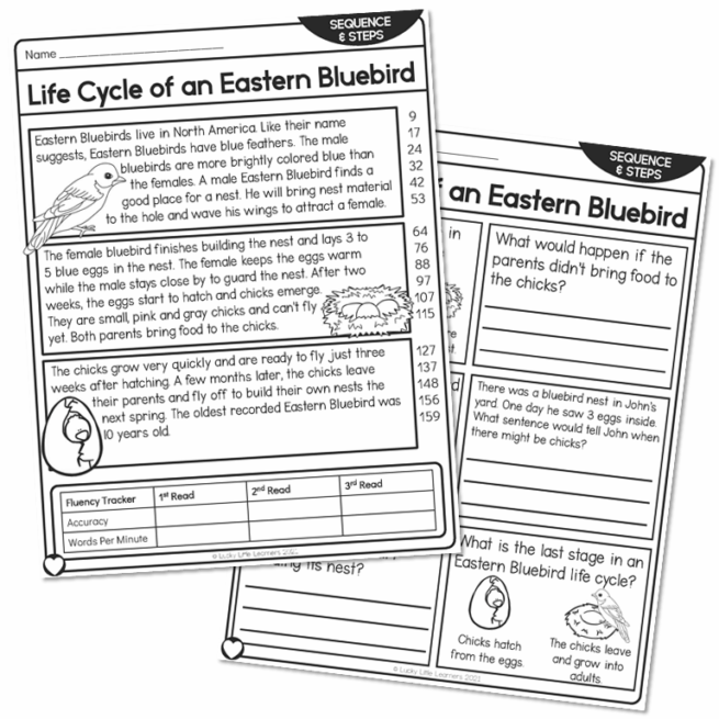 2nd Grade Sequencing Nonfiction Reading Passage - Life Cycle of an ...