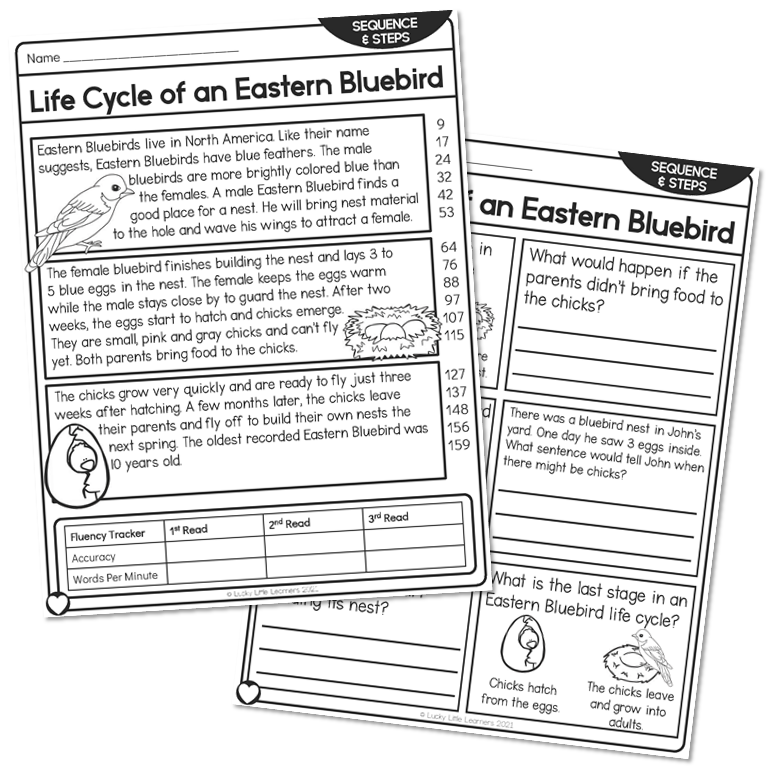 2nd Grade Sequencing Nonfiction Reading Passage - Life Cycle of an ...