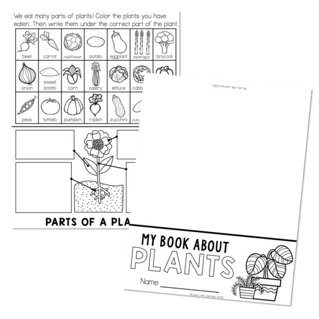 Classroom Transformation - Garden Day - My Book About Plants Flipbook ...